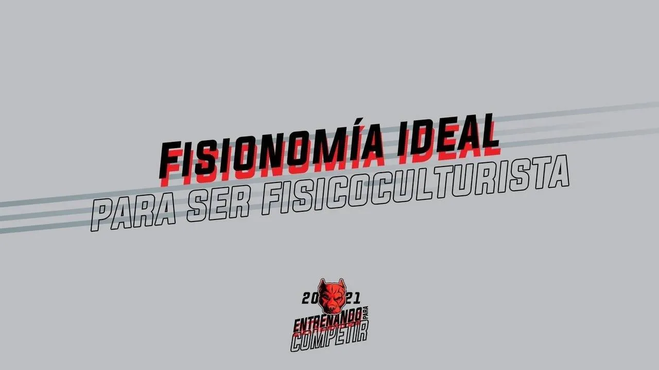 Fisionomía para hombres - Cursos DNA Fisionomía para hombres - Cursos DNA